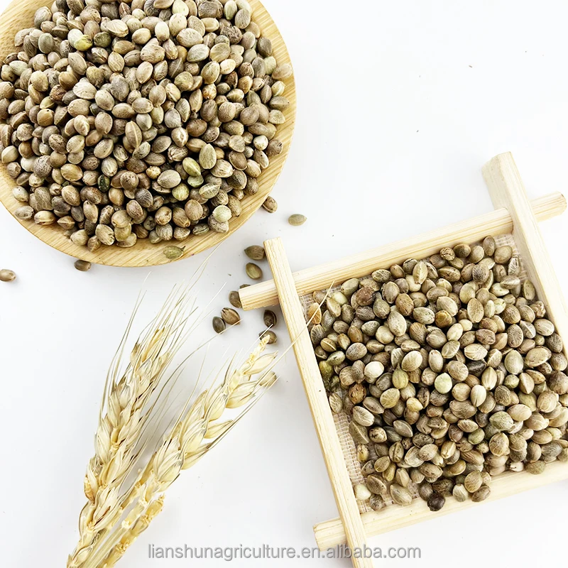 Wholesale Chinese Dried Bulk Hemp Seed with Export Hemp Seeds ( Medium ...