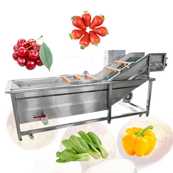 Ocean Spray Fruit Wash Machine Conveyor Belt Grape Fruit Small ...
