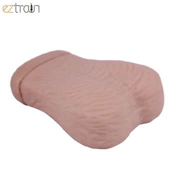 Tse Model Beige Two Lumps In One Testicle Pathological Testicular Model ...