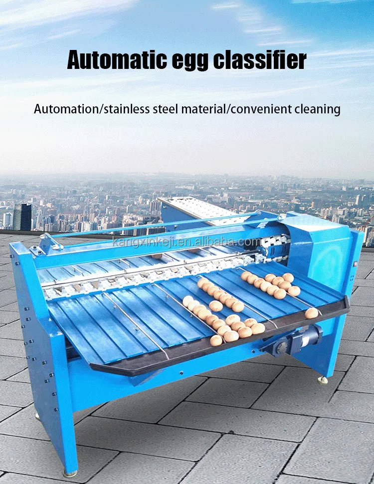 Automatic Chicken Eggs And Packaging Table Top Egg Grading Machine ...