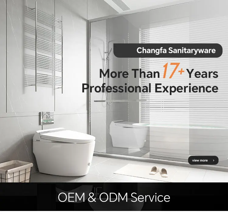 Smart Toilet - High End Automatic Flush Sanitary Ware