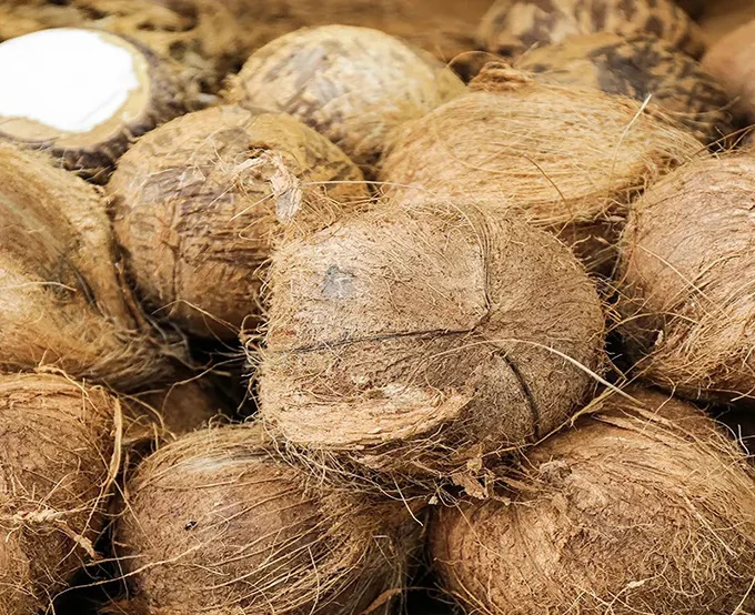 Old Coconut Dehusking Machine Coconut Fiber Peeling Machine| Alibaba.com