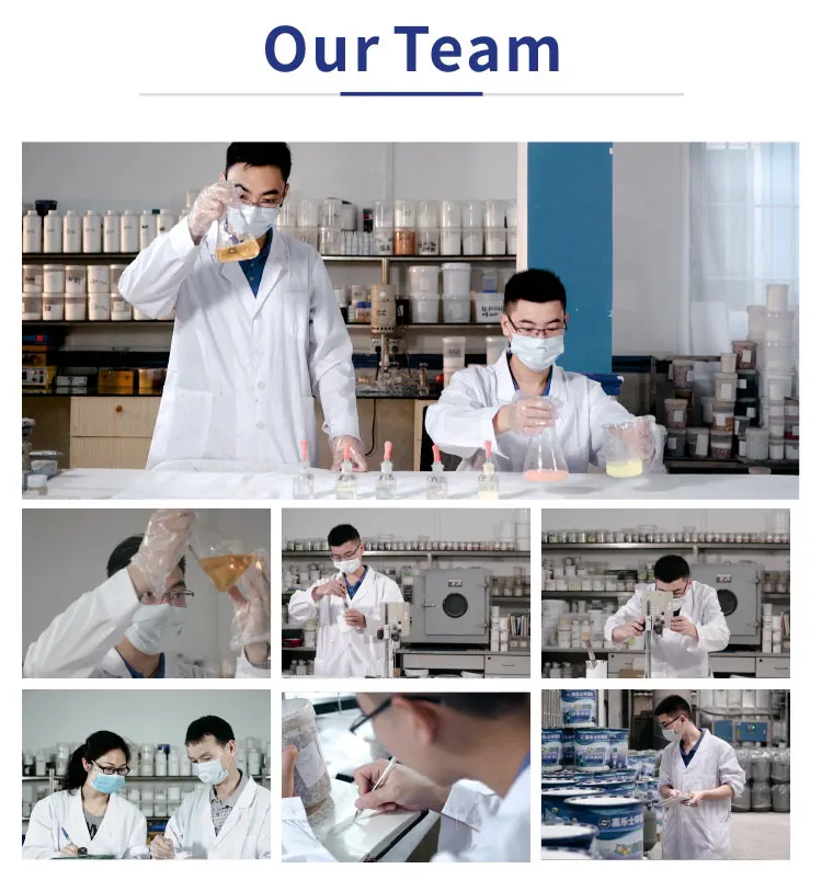 Salux Architectural Latex Paint Odorless Coating Emulsion Interior ...