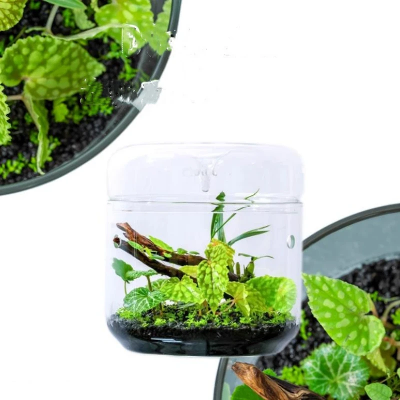 Creative Glass Terrarium - Modern Luxury Decorative Vase