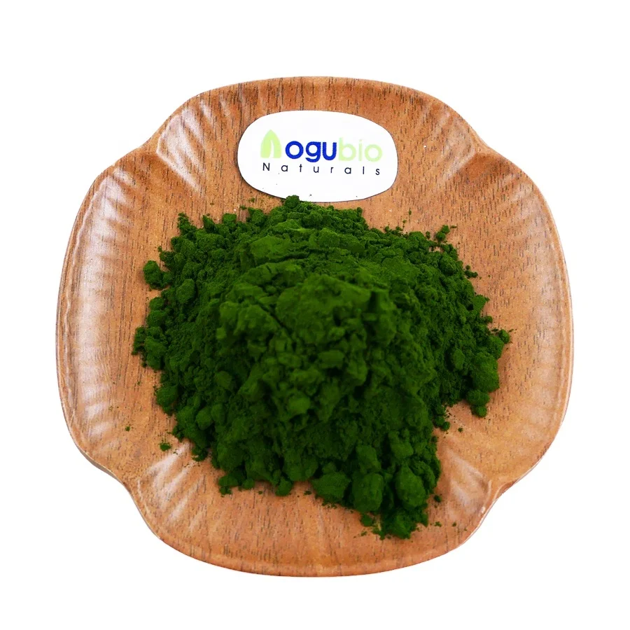 Biomass Nannochloropsis Powder Nannochloropsis Salina Powder - Buy ...