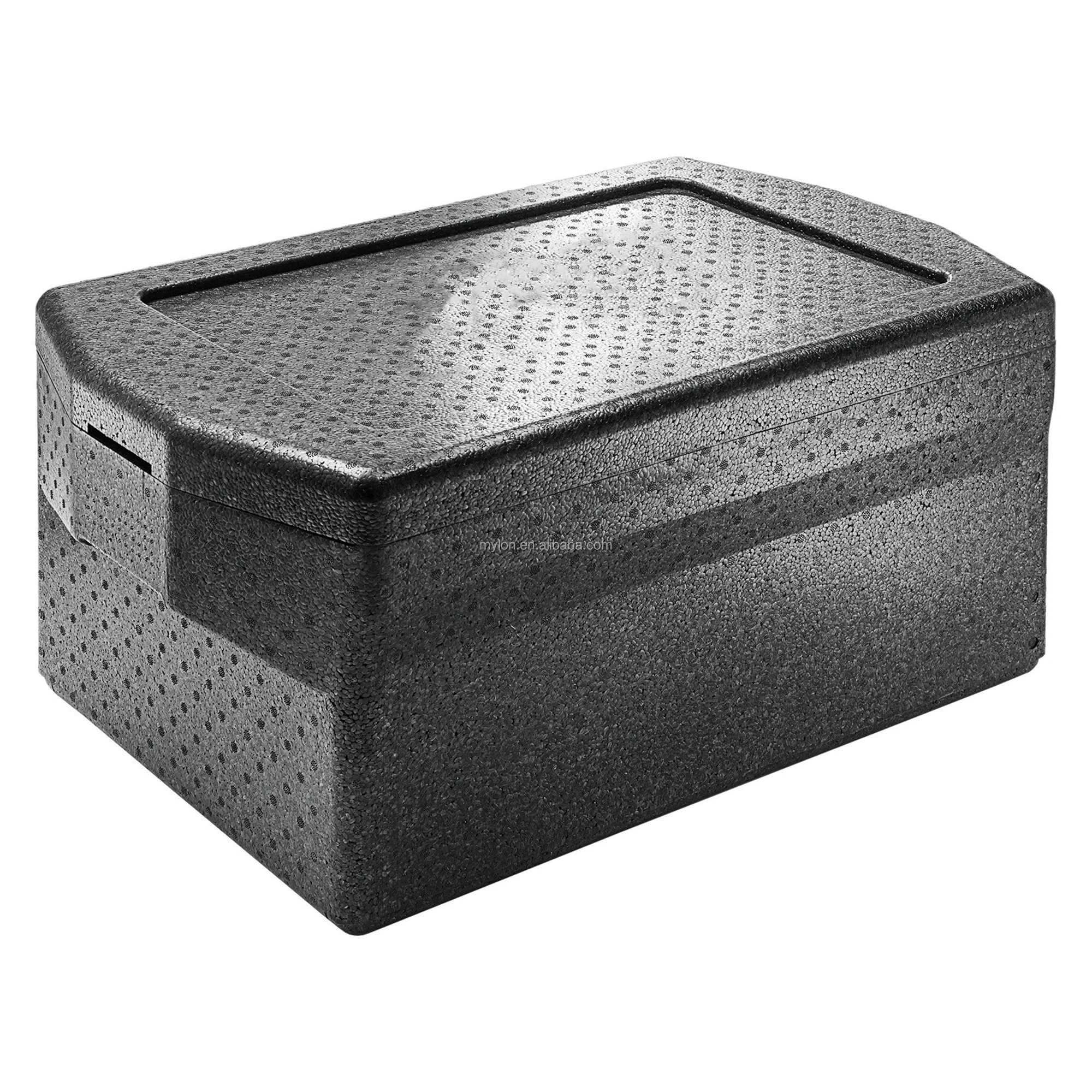 EPP Flip Expanded Polypropylene Foam Cooler Box for Cold Chain