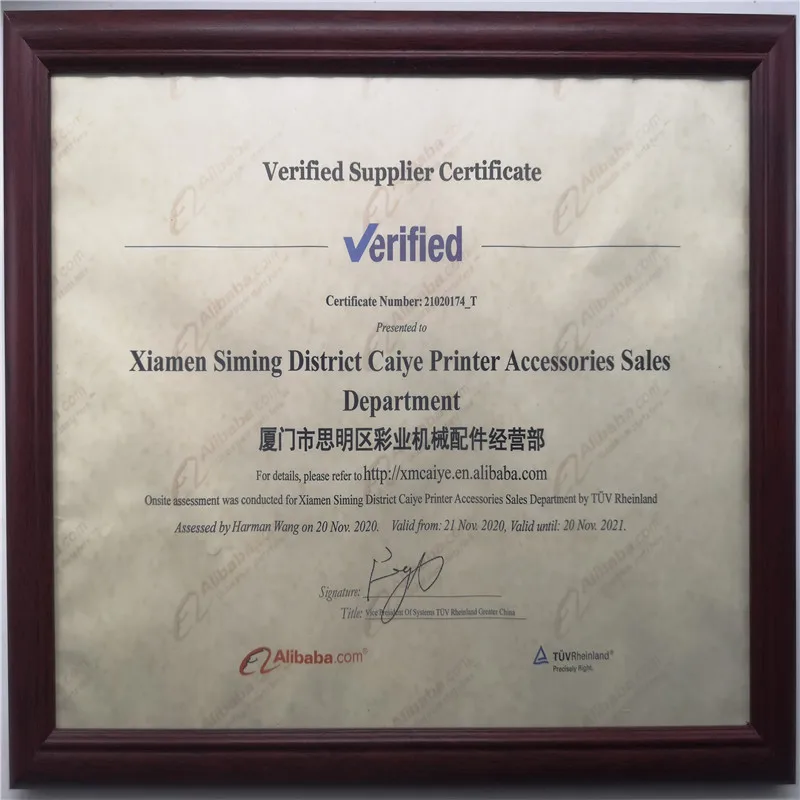 Roland 700 Printing Machine - High-Quality Suction Belt