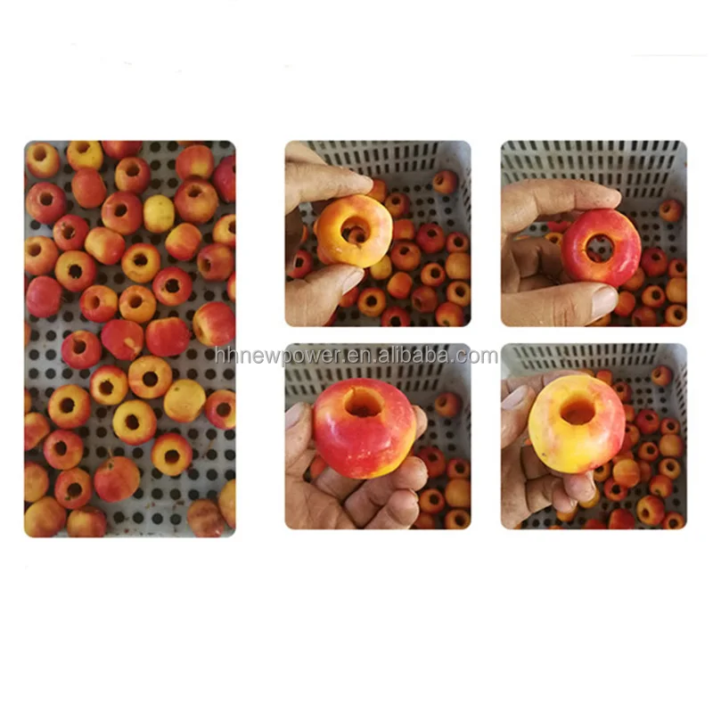 Efficient Plum Pitting Machine - Automatic Cherry Stoner