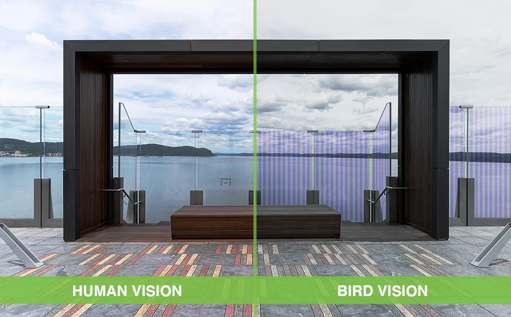 Ceramic Frit Silk Screen Patterns Bird Safe Float Glass