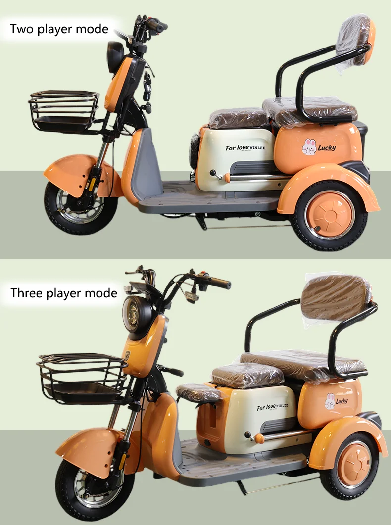 Newly Designed 3 Wheels Trike Tricycle Electric Bike 600w Mobility ...