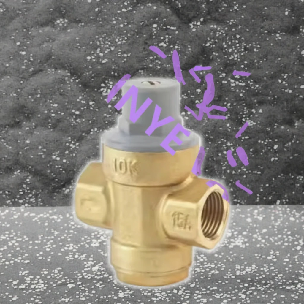 10K Manual Water Pressure Regulator Reducing Valve Brass Blasting for ...