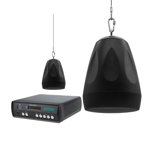 Ceiling Classroom Sound System With Resonance Audio Pendant Speakers ...