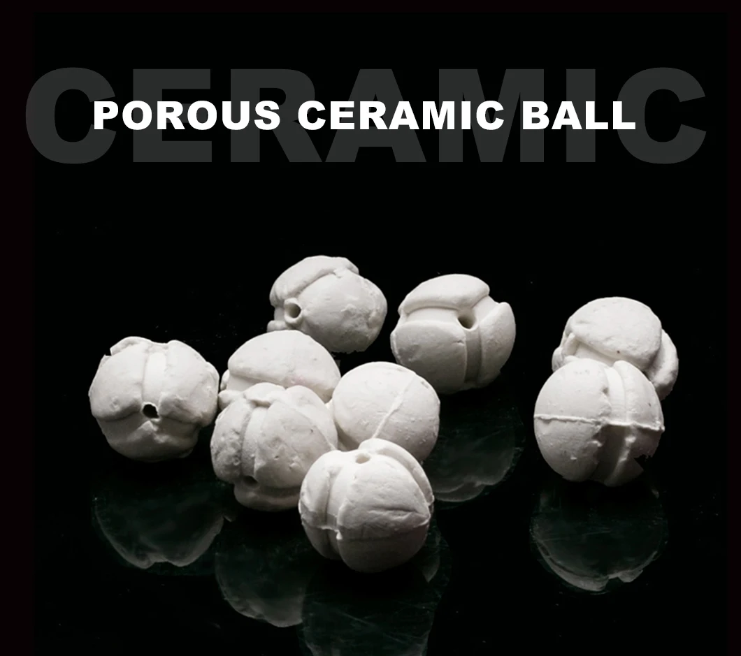 Industrial Catalyst Carrier Hollow Perforated Porous Alumina Ceramic ...