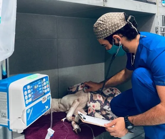 Ce 6 Infusion Modes Medical Portable Pet Veterinary Equipment High ...