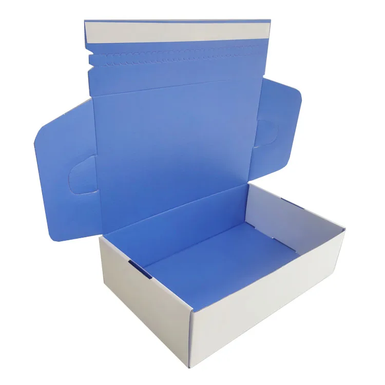 Customized Logo Corrugated Self Seal Postal Blue Mailing Carton for ...