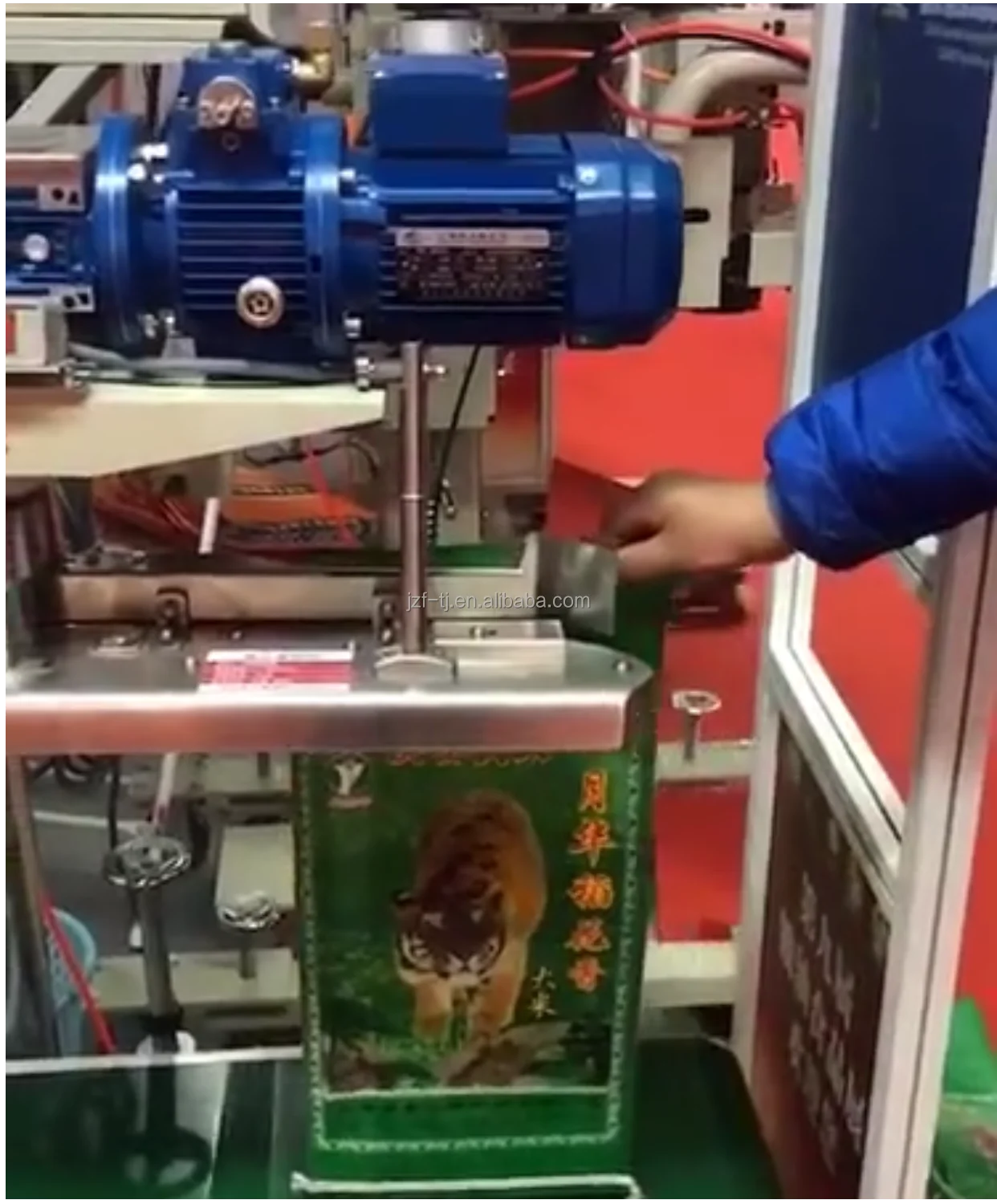 Chinese Factory Bags Infeed Machine Cp 4900 Bags Feed-in Device ...