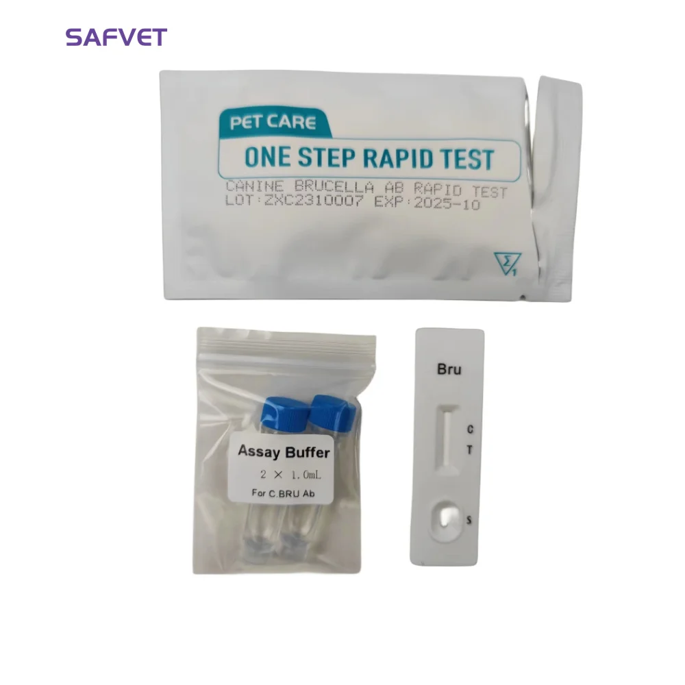 Veterinary Canine Antibody Brucella Melitensis Rapid Test Kit - Buy ...