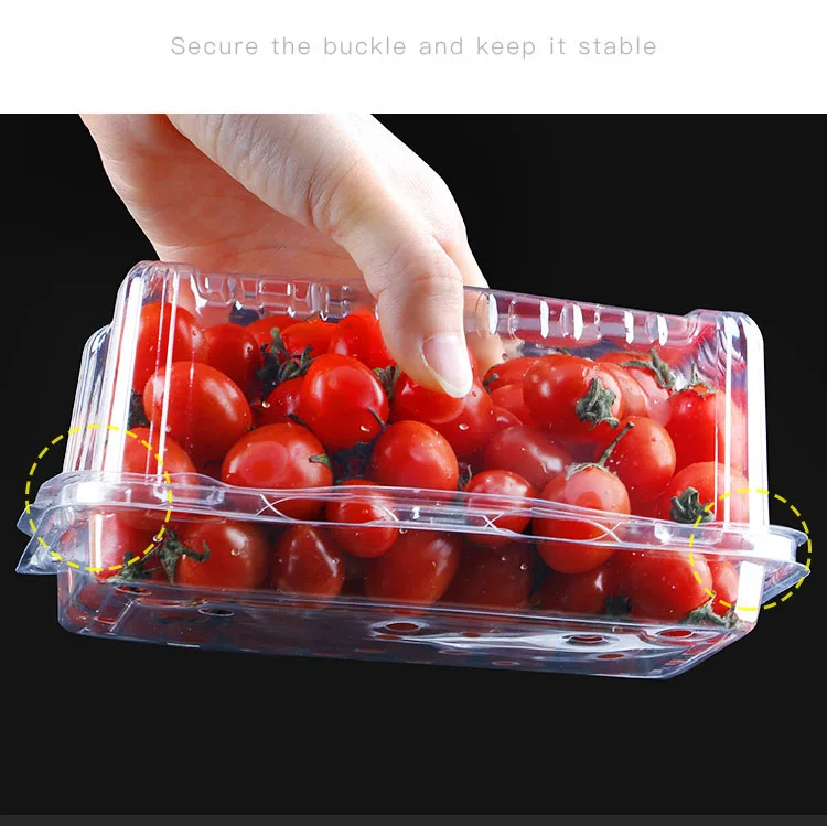 Transparent Pet Clamshell Packaging Box Berry Strawberry Cherry Fruit ...
