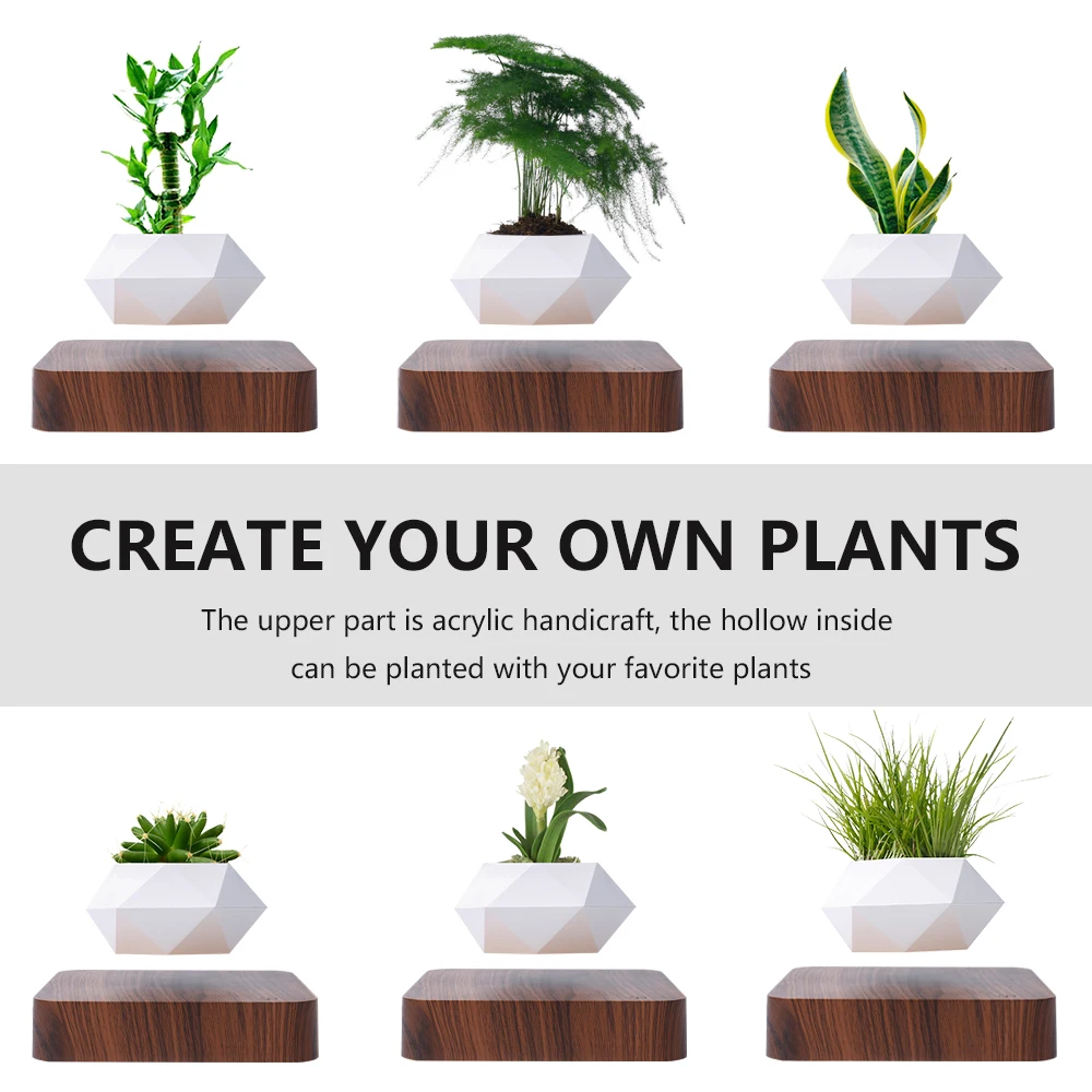 Creative DIY Magnetic Levitation Flower Pot - Modern Bonsai Plant Pot ...