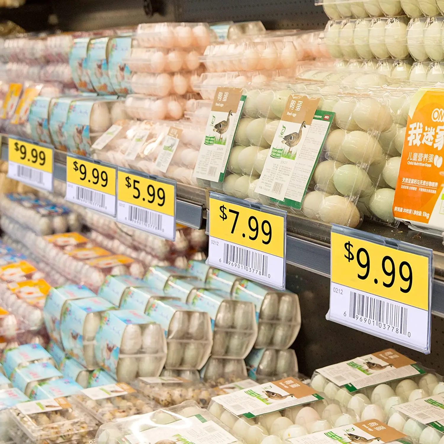 Retail Display Plastic Ticket Sign Shelf Data Strip Price Tag Label ...