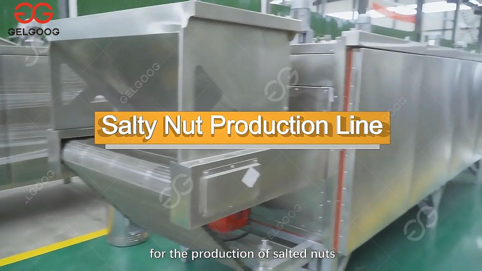 Gelgoog Hazelnut Roasting Machine Flavored Cashew Nut Roasting Machine ...