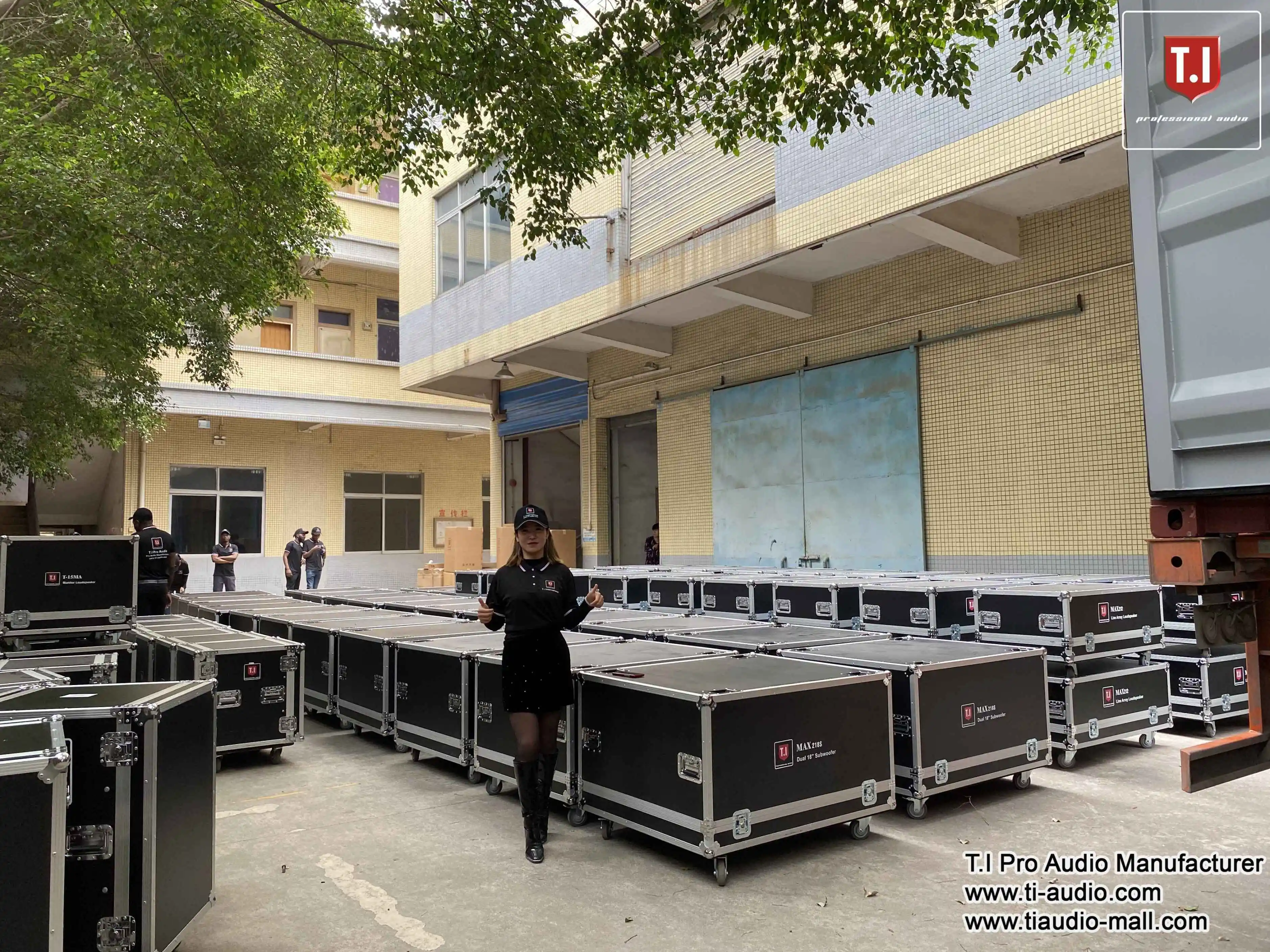 T.i Pro Audio Double 10" Waterproof Professional Line Array Outdoor ...