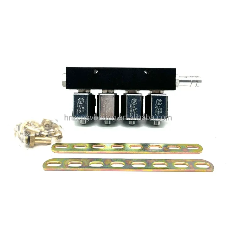Auto Gas Kit Injector Rail 2ohm Car Injector Conversion Kit Gnv Glp Gas ...