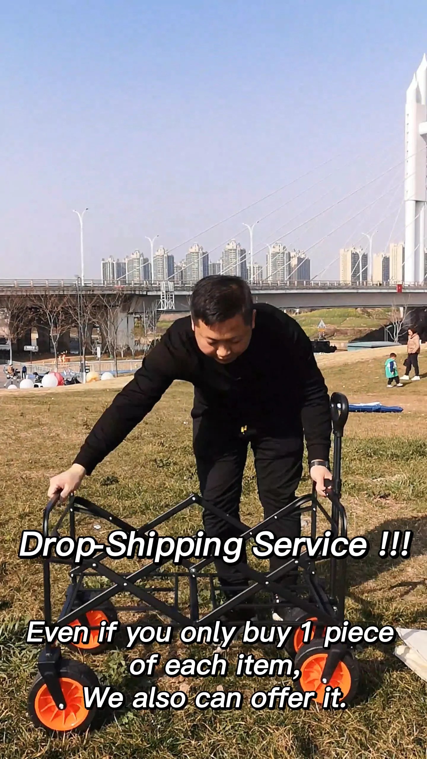 Customized Logo Oem Foldable Beach Trolley Utility Camping Metal Garden ...