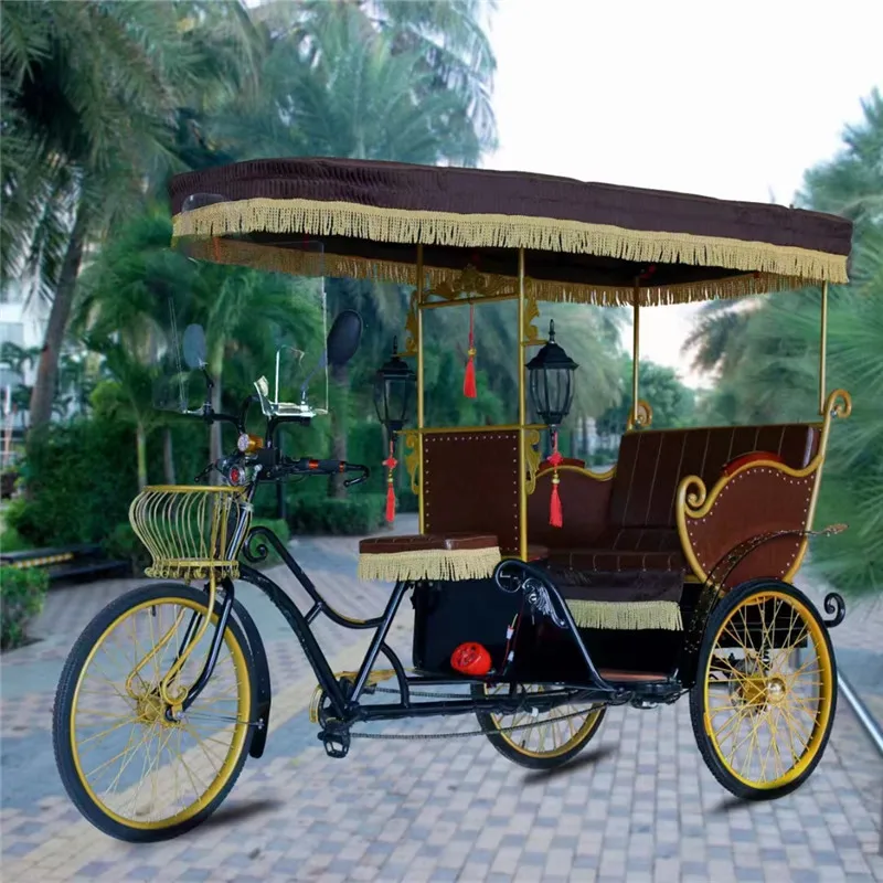 Battery Electric Rickshaw Tourist Motor Rickshaw Ride Smoothly Electric ...