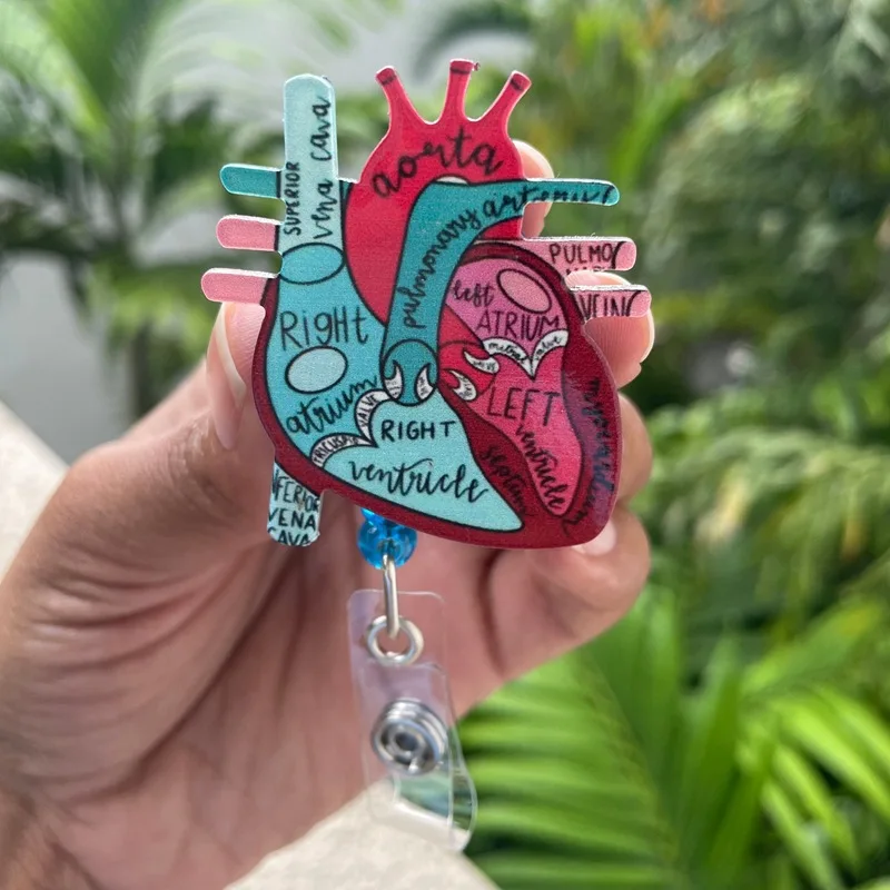 Anatomy Anatomical Cardiac Heart Diagram Retractable Nurse Badge Reels ...