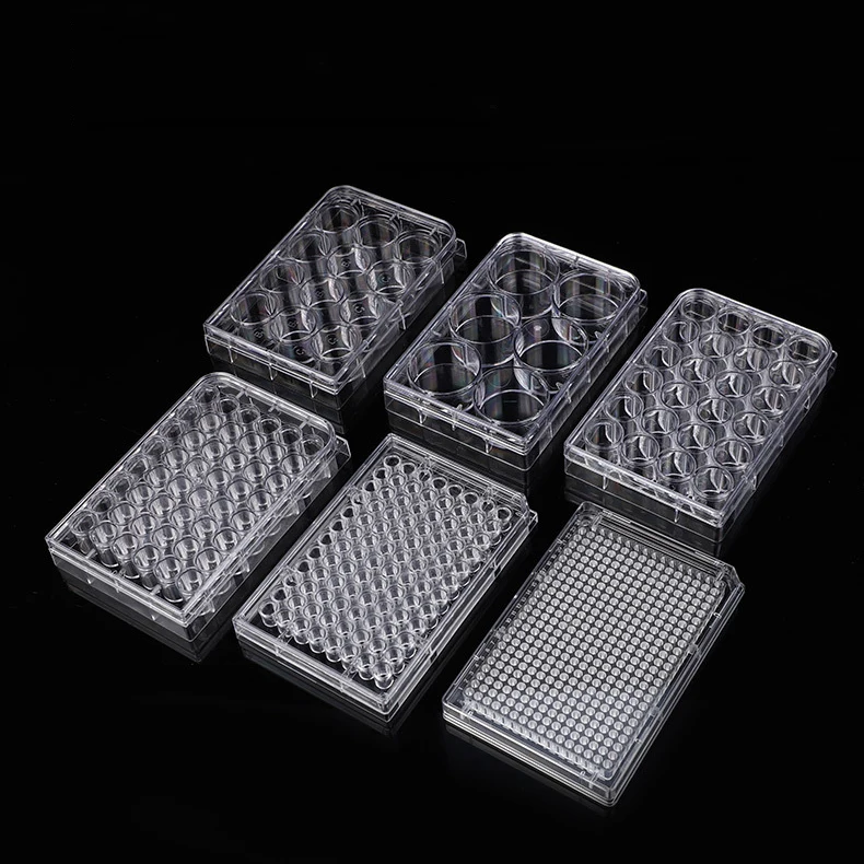 Disposable clear Transparent Plastic Tissue Culture Tray 12wells ...