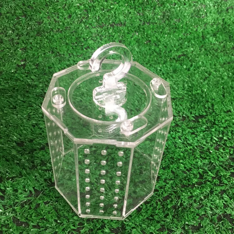 Acrylic Insect Cages - Escape Proof & Breathable Homes