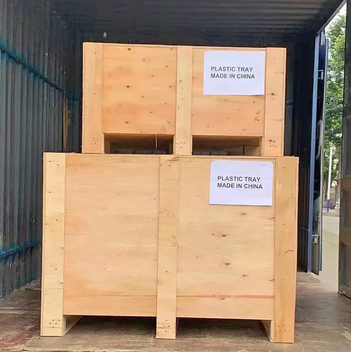 Vertical Hydroponic Shipping Container Farm Custom Plants Growing ...