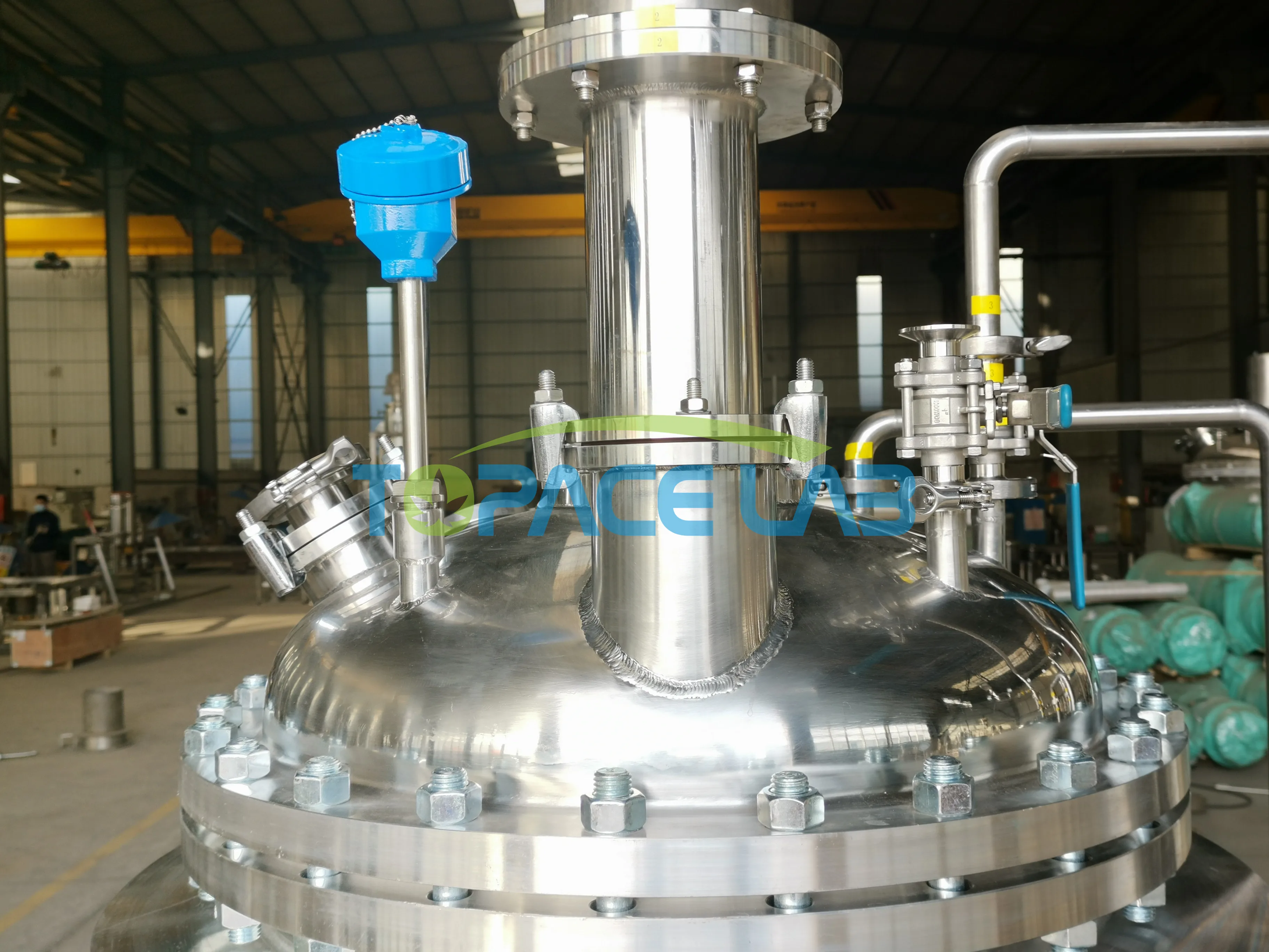 Topacelab 50l-500l Jacketed Biological Reactor with Agitator Stainless ...