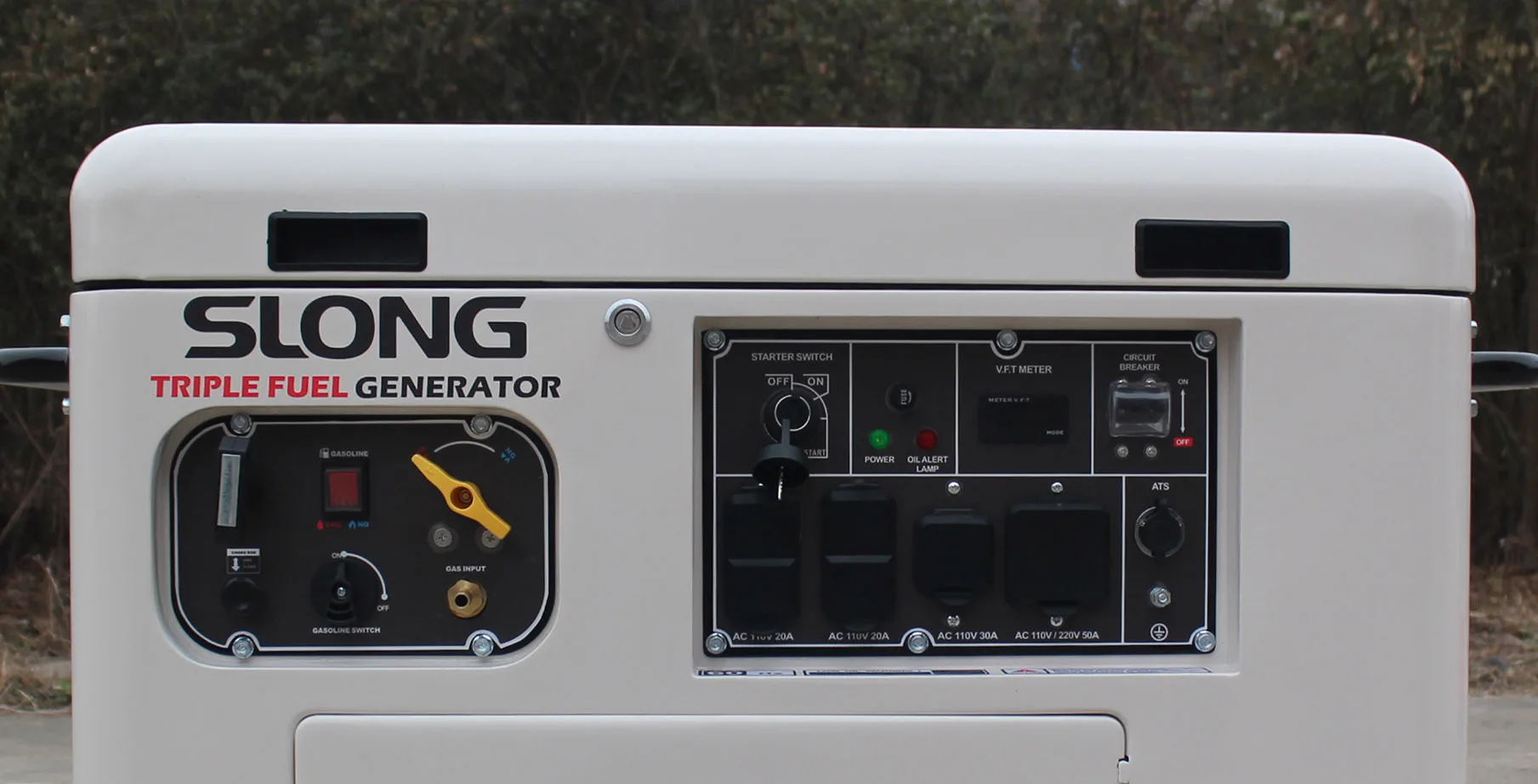 Slong Brand Duel Fuel Generator Silent Gas & Lpg Gas Generator For ...