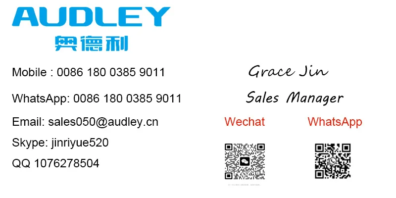 Audley Eco Solvent Ink Printing Machine - 1.8m XP600 Head Plotter