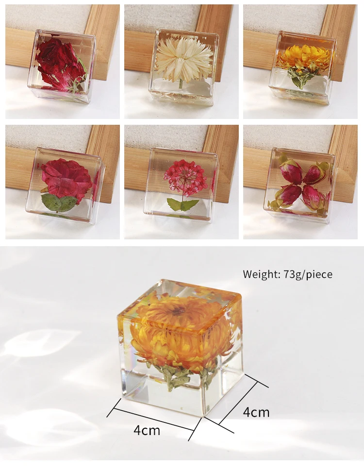 Resin Dried Flower Shaped Teaching Tool Gift - Acrylic Crafts