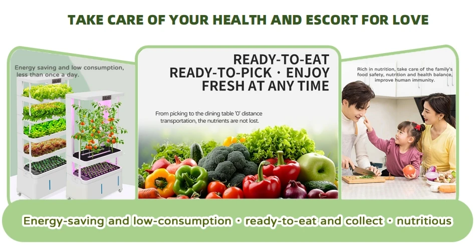 Hydroponic System with Spray Vegetables Planting Machine