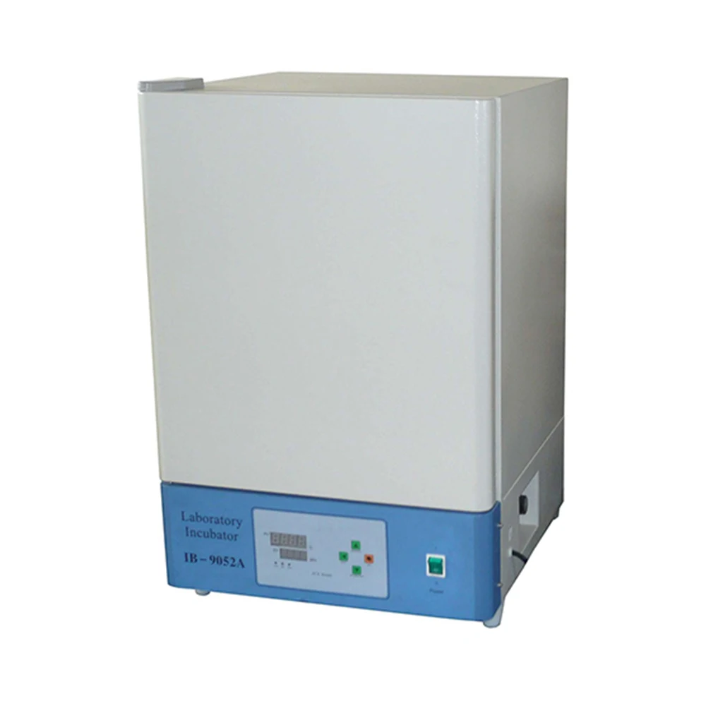 IB-9025A Digital Laboratory Incubator - Ideal for Bacteria Cultivation