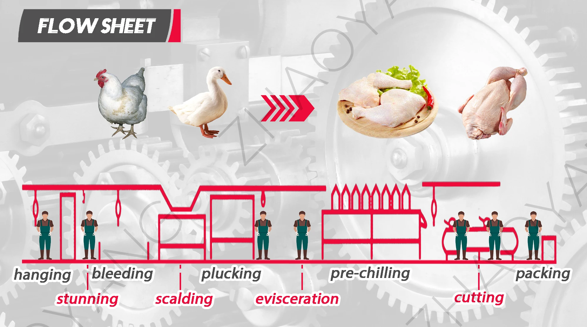 Mini Manual Poultry Chicken Abattoir Slaughterhouse Equipment For ...