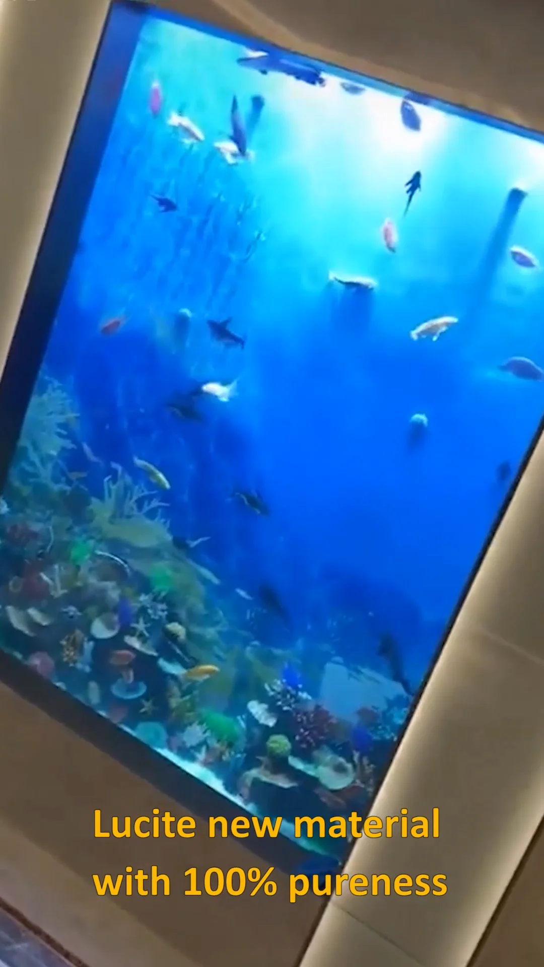 Rectangle Long Size Huge Clear Acrylic Sheet Aquarium Fish Tank Without ...