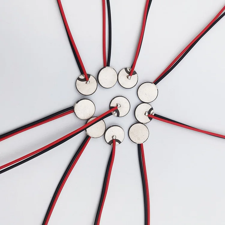 10*1mm Piezo Ceramic Transducer - High Sensitivity Flowmeter