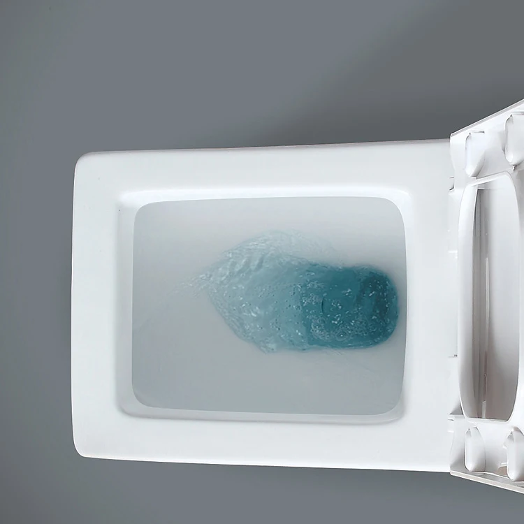 Modern Dual Flush One Piece Ceramic WC Toilet - S-Trap P-trap