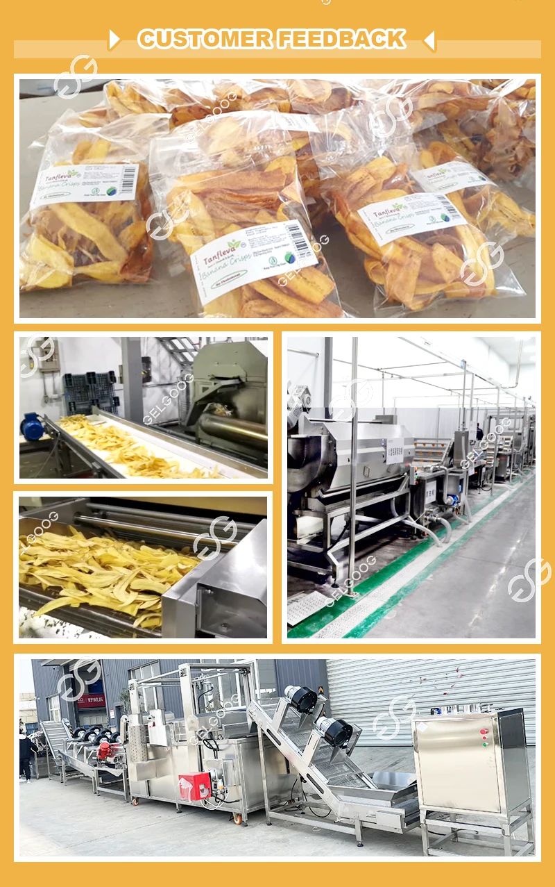 Philippine Plantain Chips Fryer Production Line Plantain-chips ...