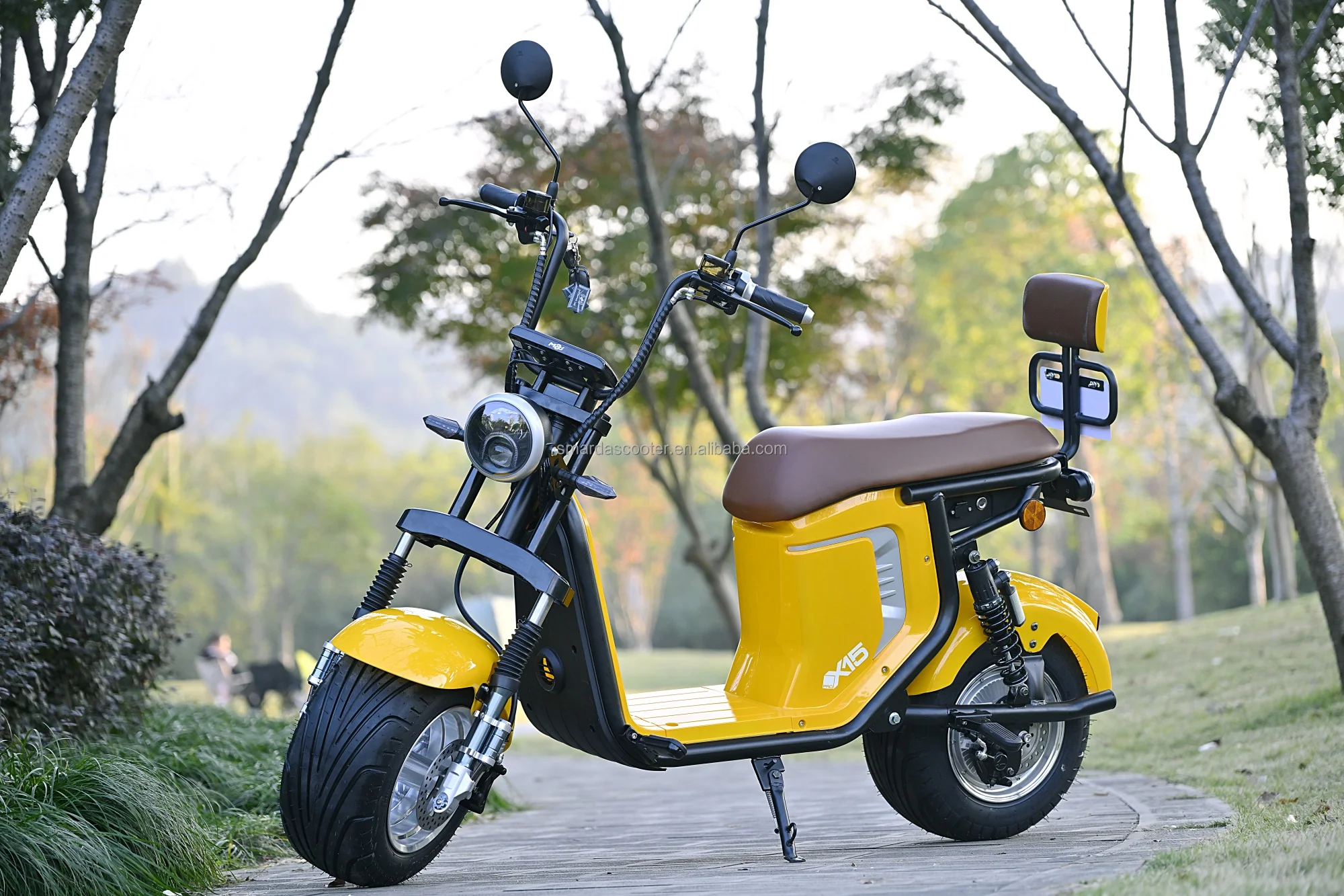 Citycoco 2000w Brazil 32kmh Citycoco for Adults Fast Electric Scooter ...