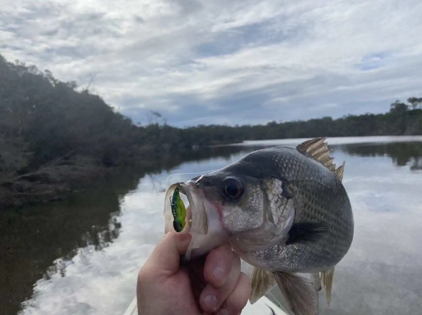 SUPERIORFISHING Rugby Circle Head Rubber Jig 10g 3/8oz 14g 1/2oz Round ...