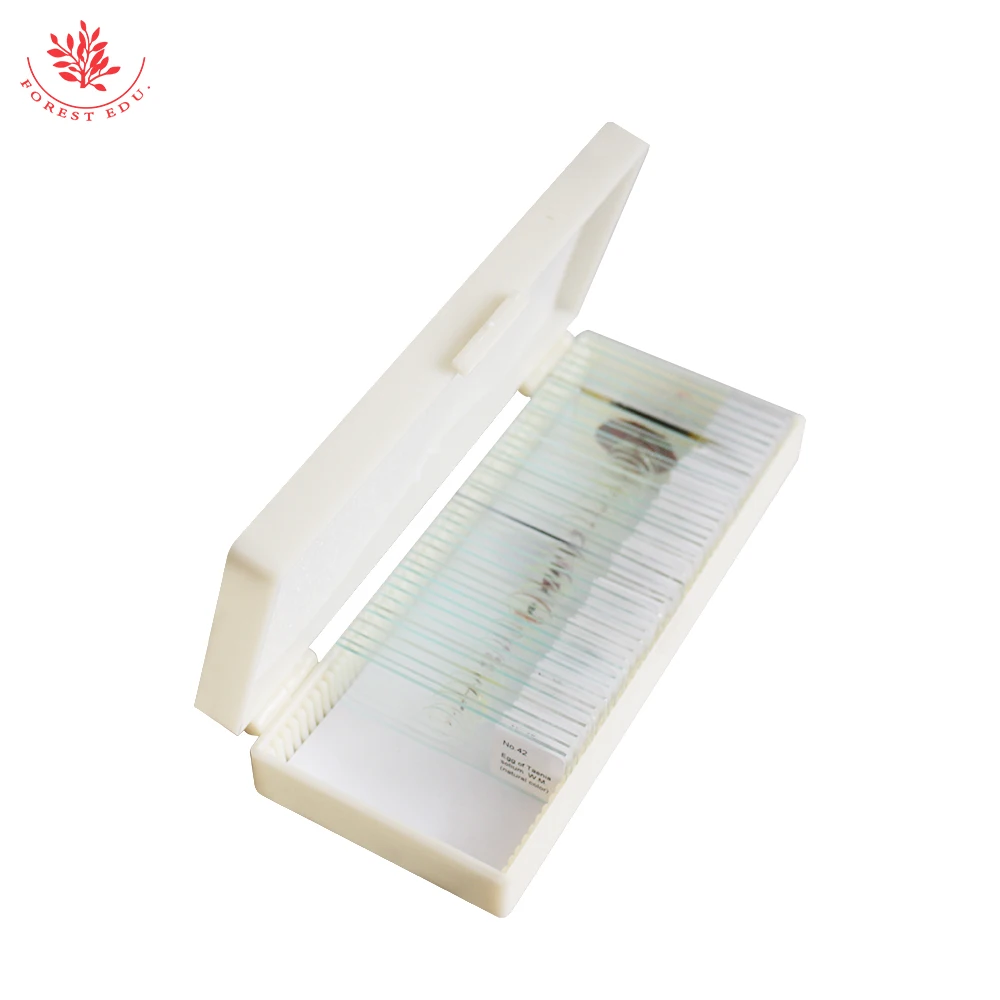 Parasite Microscope Slides - Educational Medical Tools