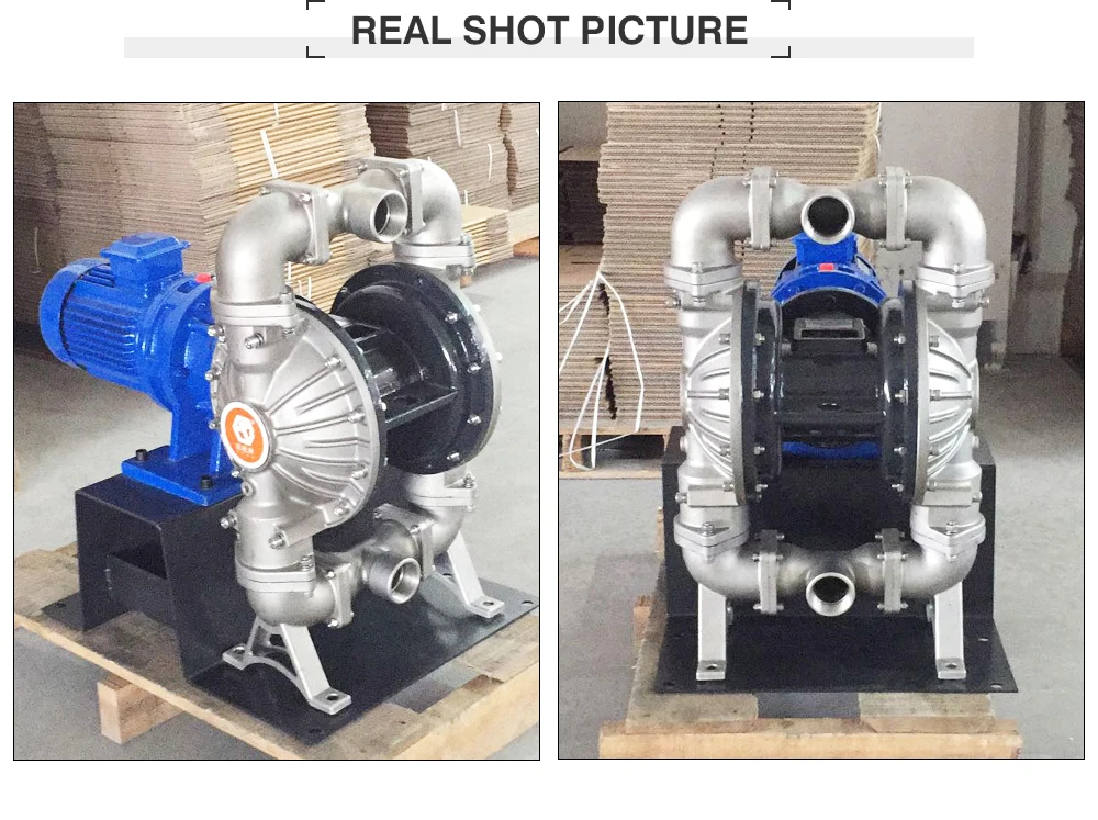 BFD-50P 2'' Stainless Steel Electric Diaphragm Pump_BFD_Electric ...