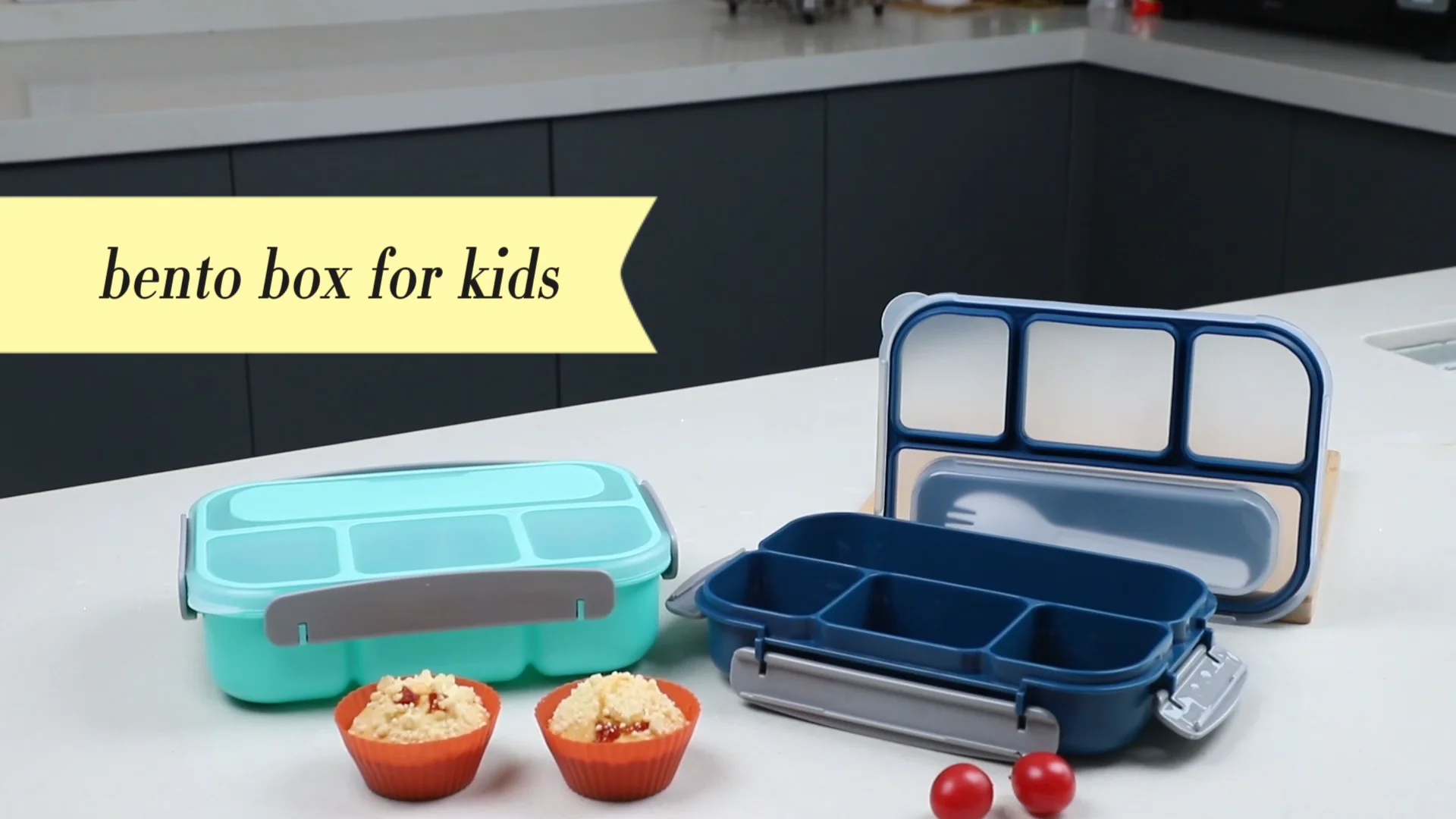Large Lunchbox School Children Balance Bento Box 4 Compartment Adult ...