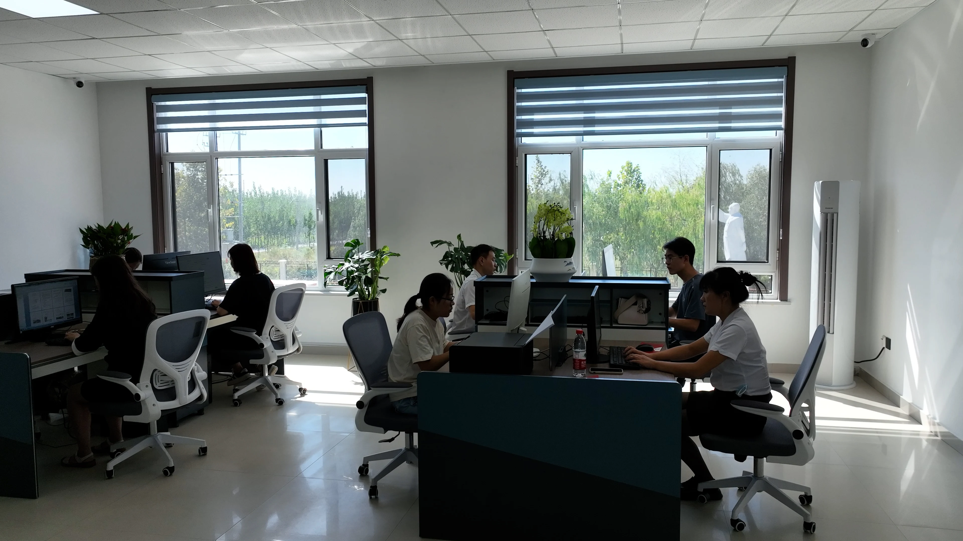 2023 New Artemia Cysts Brine Shrimp Eggs High Hatching Rate Artemia ...